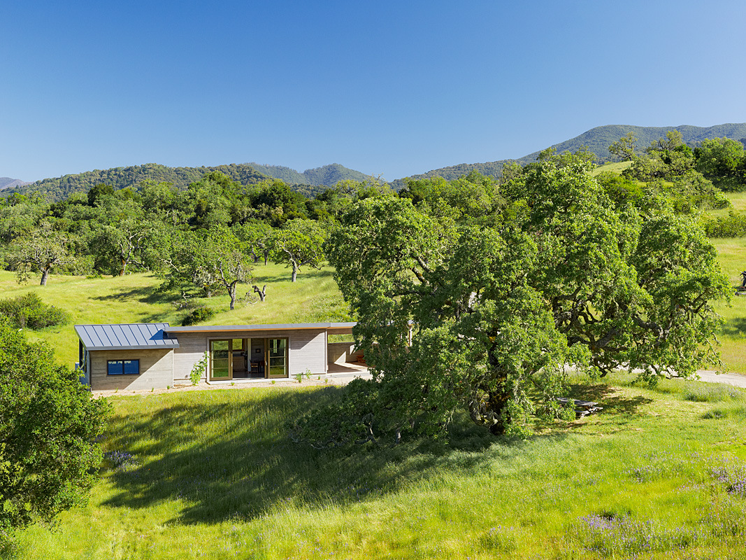Caterpillar House - Home Snapshots