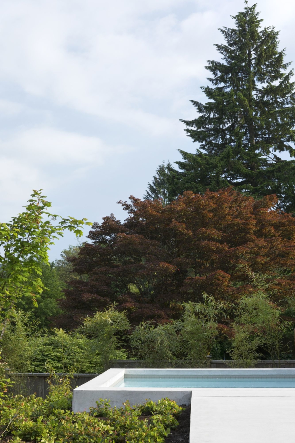 Deep Cove House - Home Snapshots