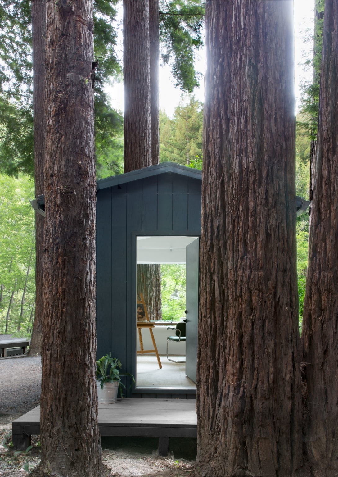 Caz Cabin - Home Snapshots